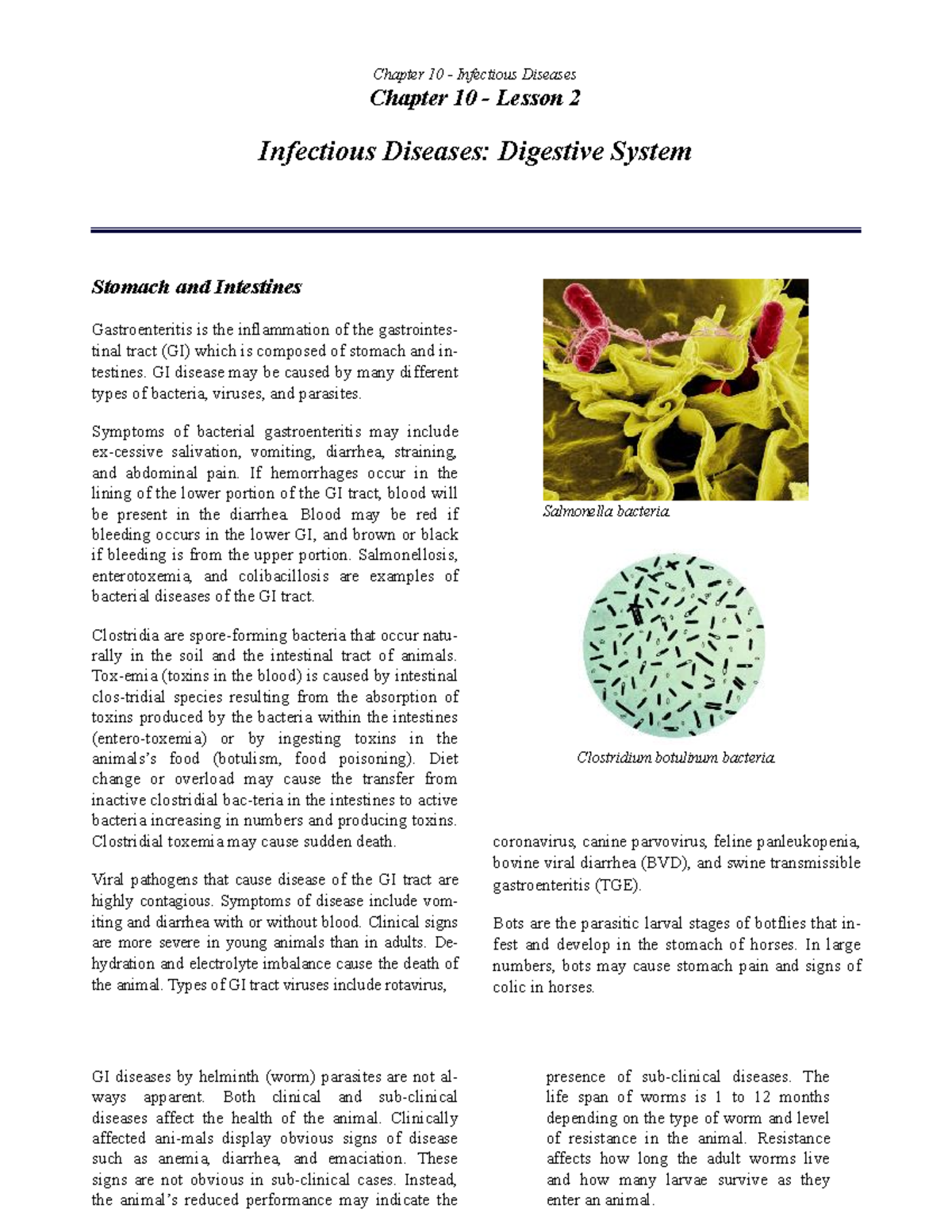 Ch10-02 Infectious Diseases Digestive System - Chapter 10 - Infectious ...