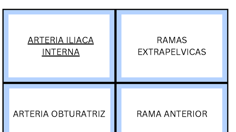 ARTERIA ILIACA INTERNA: Ramas y Funciones Detalladas - Studocu