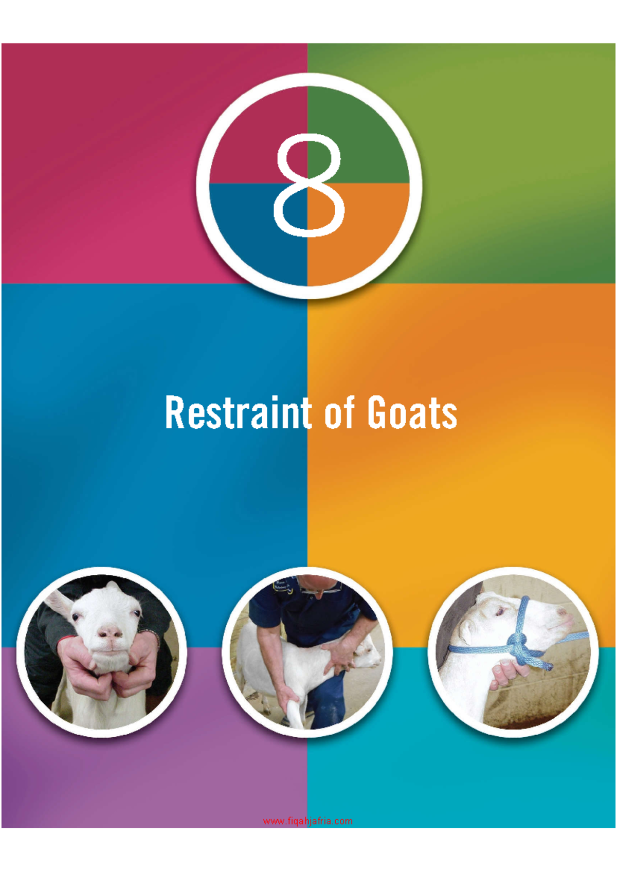 Restraint Techniques for Goats in Veterinary Care (ANM 170) - Studocu