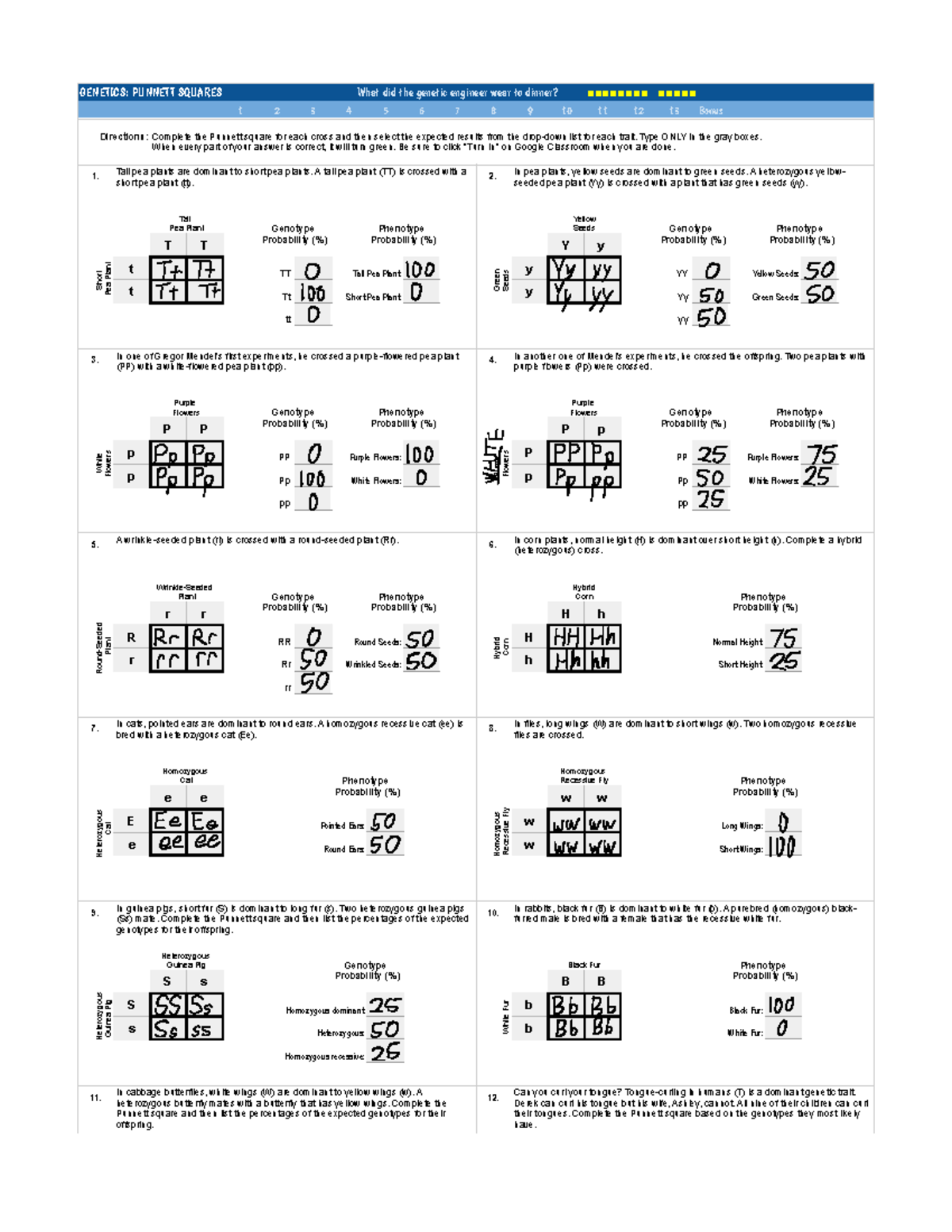 GENETICS: PUNNETT SQUARES ASSIGNMENT DUE 4-11 - Studocu