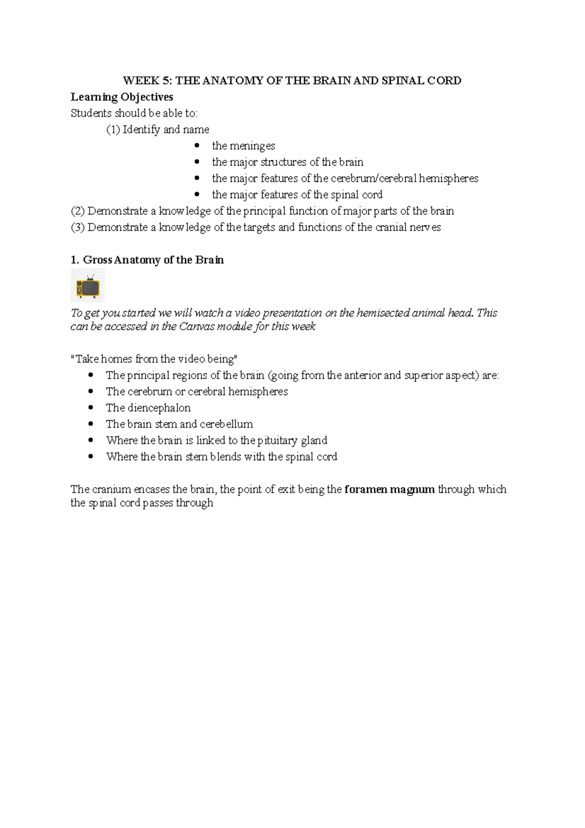 Week 5 prac - : THE ANATOMY OF THE BRAIN AND SPINAL CORD - WEEK 5: THE ...