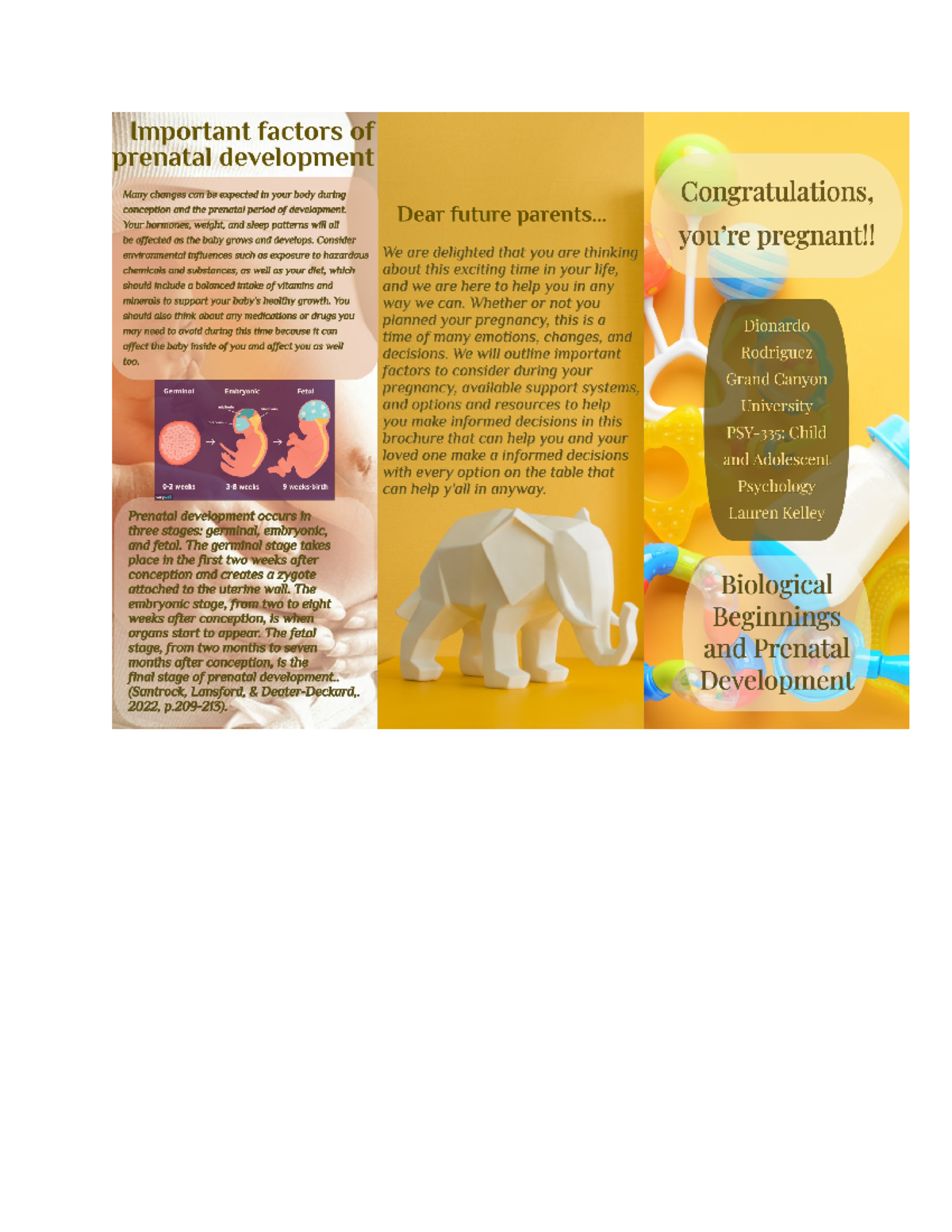 Biological Beginnings & Prenatal Development Overview Brochure - Studocu