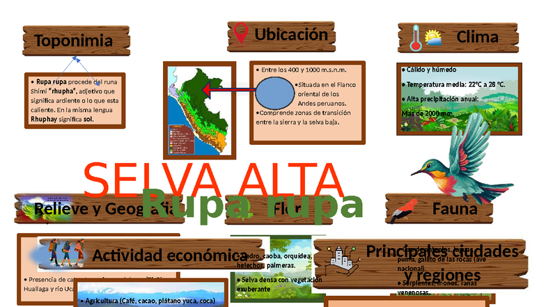 Rupa Rupa: Geografía, Flora y Fauna de la Selva Alta - Studocu