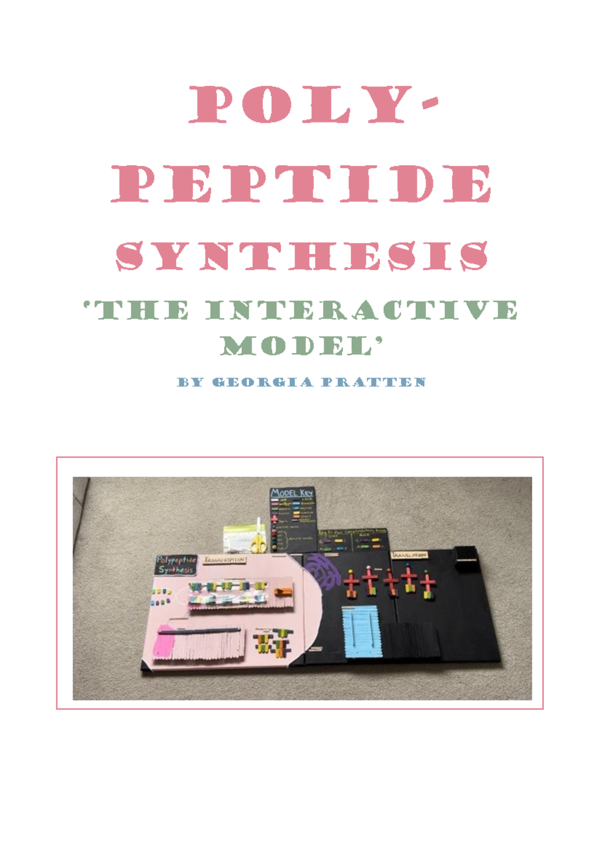 Polypeptide Synthesis Instruction Manual: Interactive Model Guide - Studocu