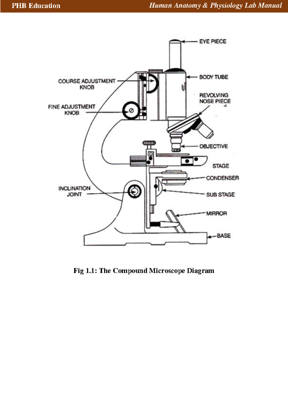 HAP- Practical 1: Compound Microscope Study Guide - Studocu