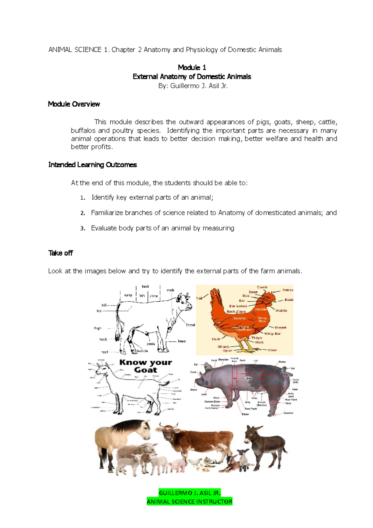 ANIMAL SCIENCE 1: Module 1 - External Anatomy of Domestic Animals - Studocu