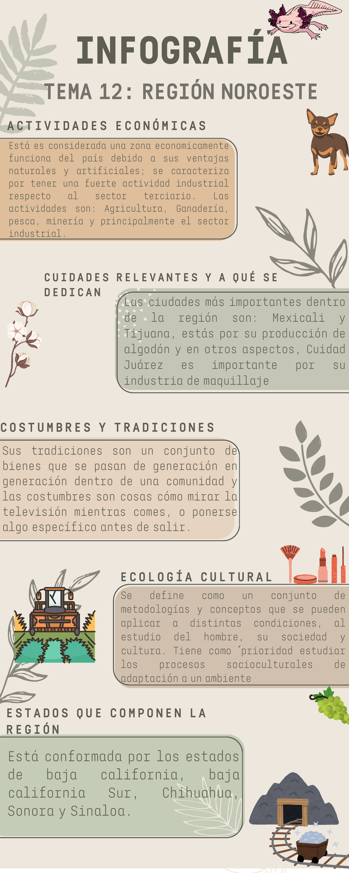 Infografía T12: Región Noroeste - Actividades Económicas y Más - Studocu