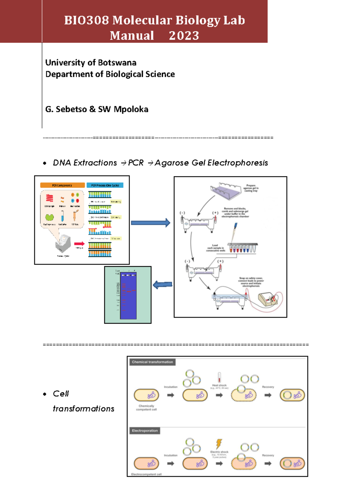 BIO 308 LAB Manual 2023 -===================-================= • DNA ...