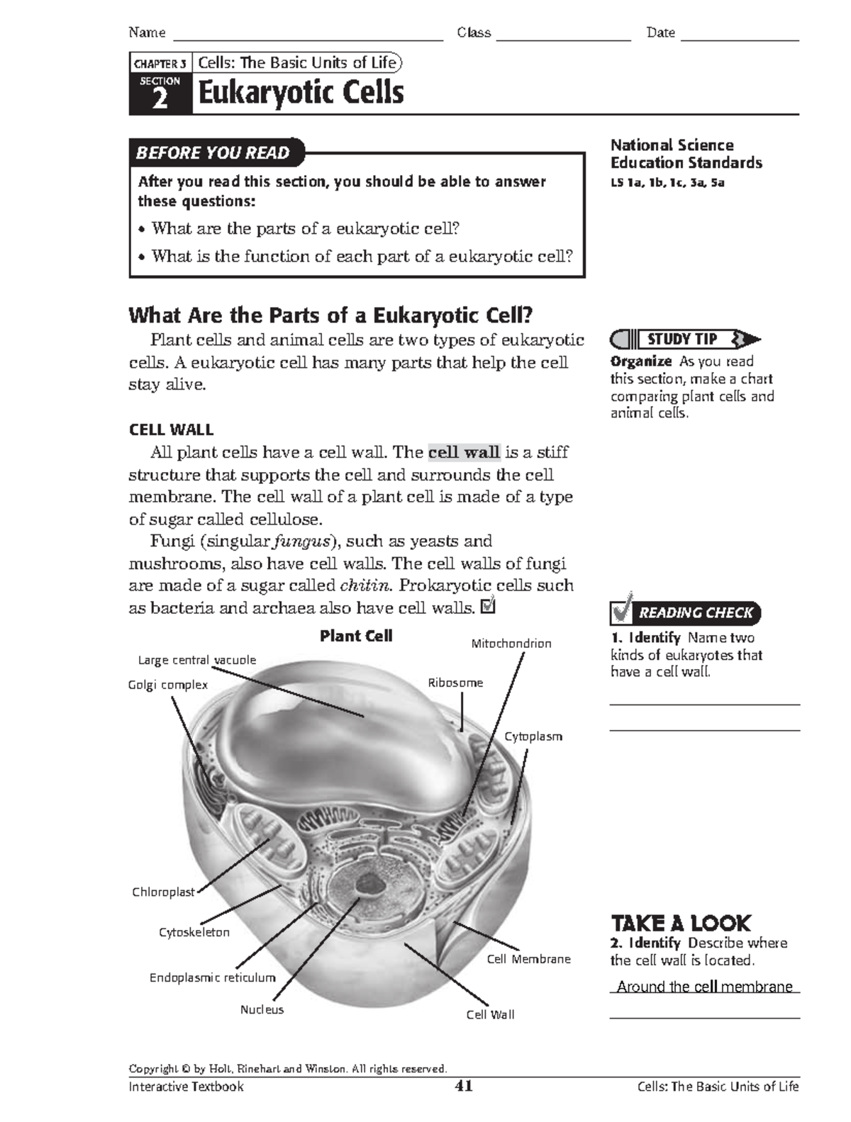 EUK 101: Chapter 3 - Eukaryotic Cells Overview and Functions - Studocu