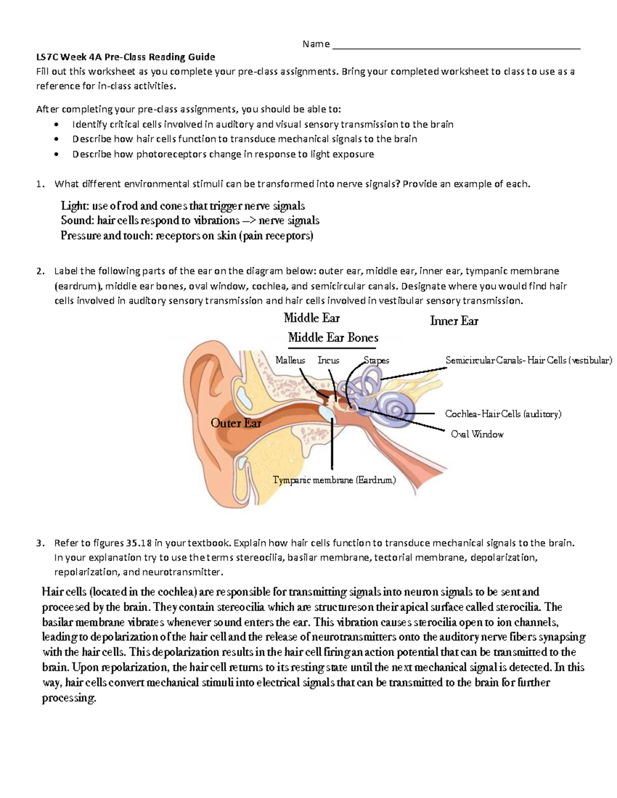 LS7C Week 4A Pre-Class Reading Guide: Sensory Transmission Insights ...