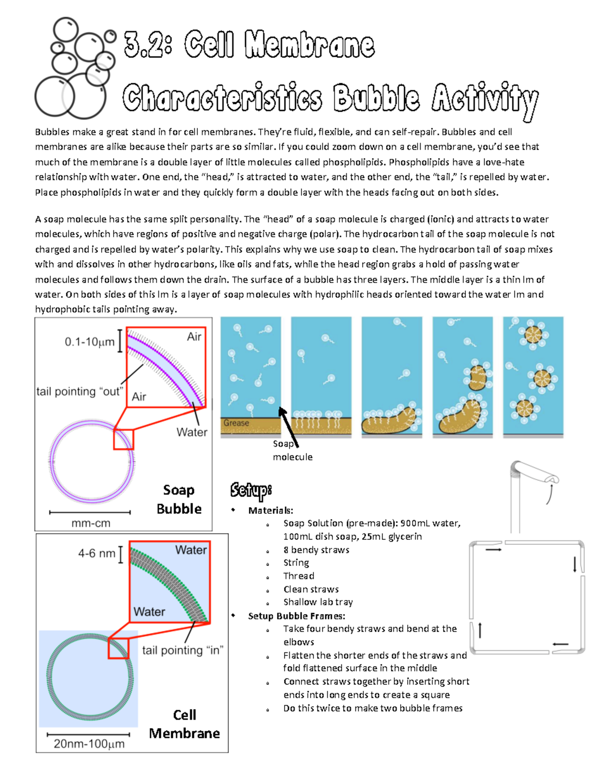 Kami Export - Devon Chiodo - LAB NEW Cell Membrane Bubble Lab - 3: Cell ...
