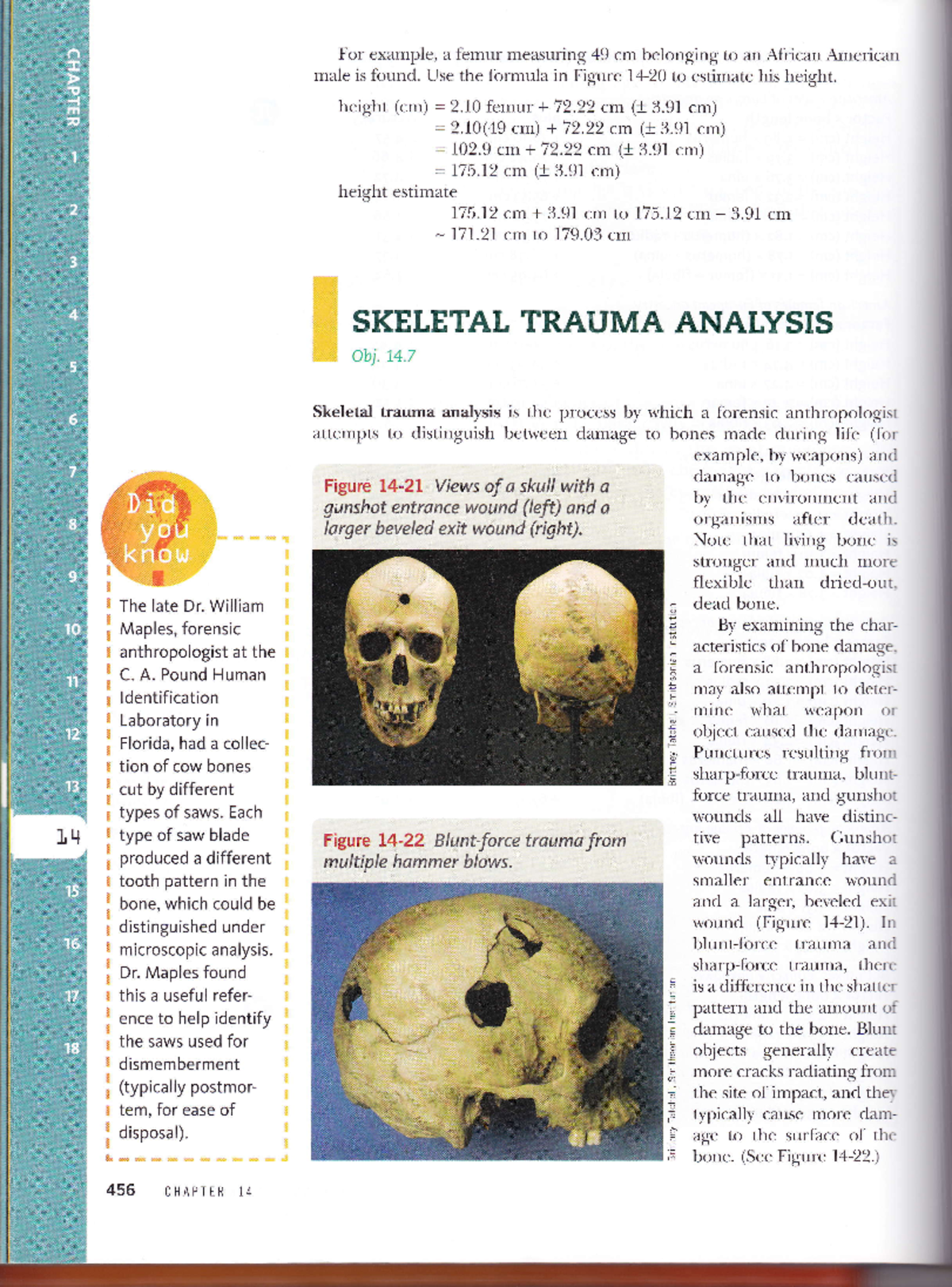 Forensic Anthropology: Techniques in Skeletal Trauma Analysis and ...