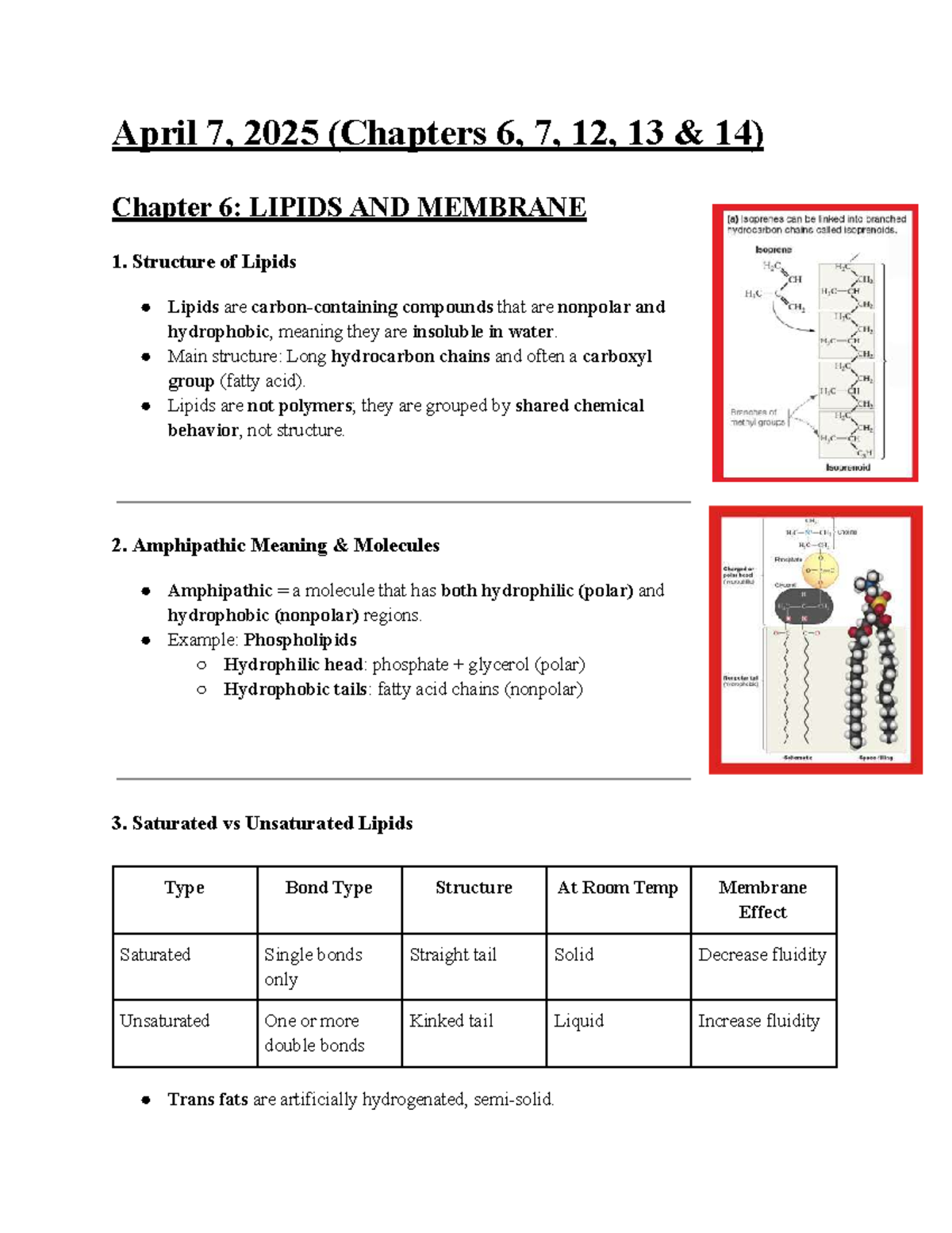 Chapter 6 & 7 Exam Review: Cell Membrane Structure and Function - April 7, 2025 (Chapters 6, 7 ...