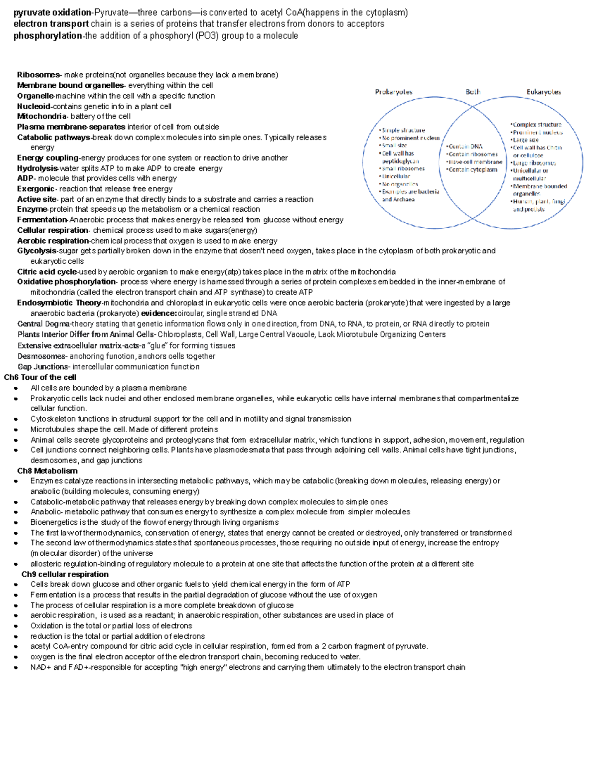 Bio 1112 Exam 2 Cheat Sheet: Key Concepts in Cellular Metabolism - Studocu