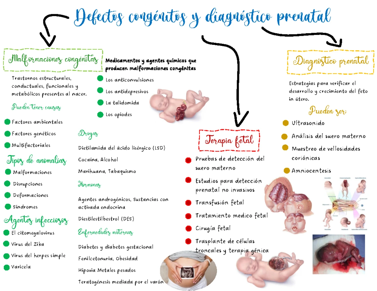 Enfermedades congénitas Amelia y meromelia - La supresión del ...