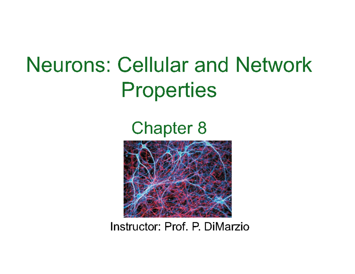 BIO382_FALL 25_Ch8_Lecture_Neuronal Communication & Properties - Studocu