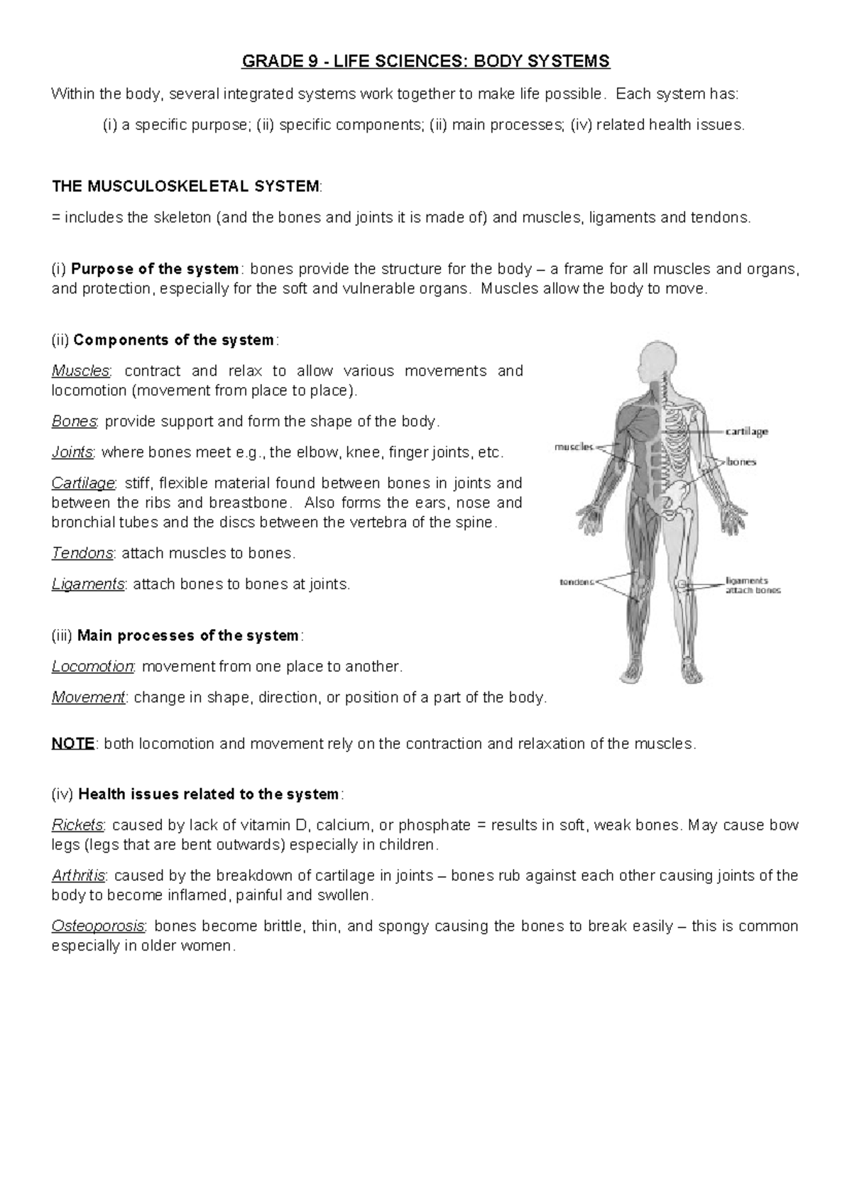 GRADE 9 LIFE SCIENCES: SUMMARY OF BODY SYSTEMS OVERVIEW - Studocu