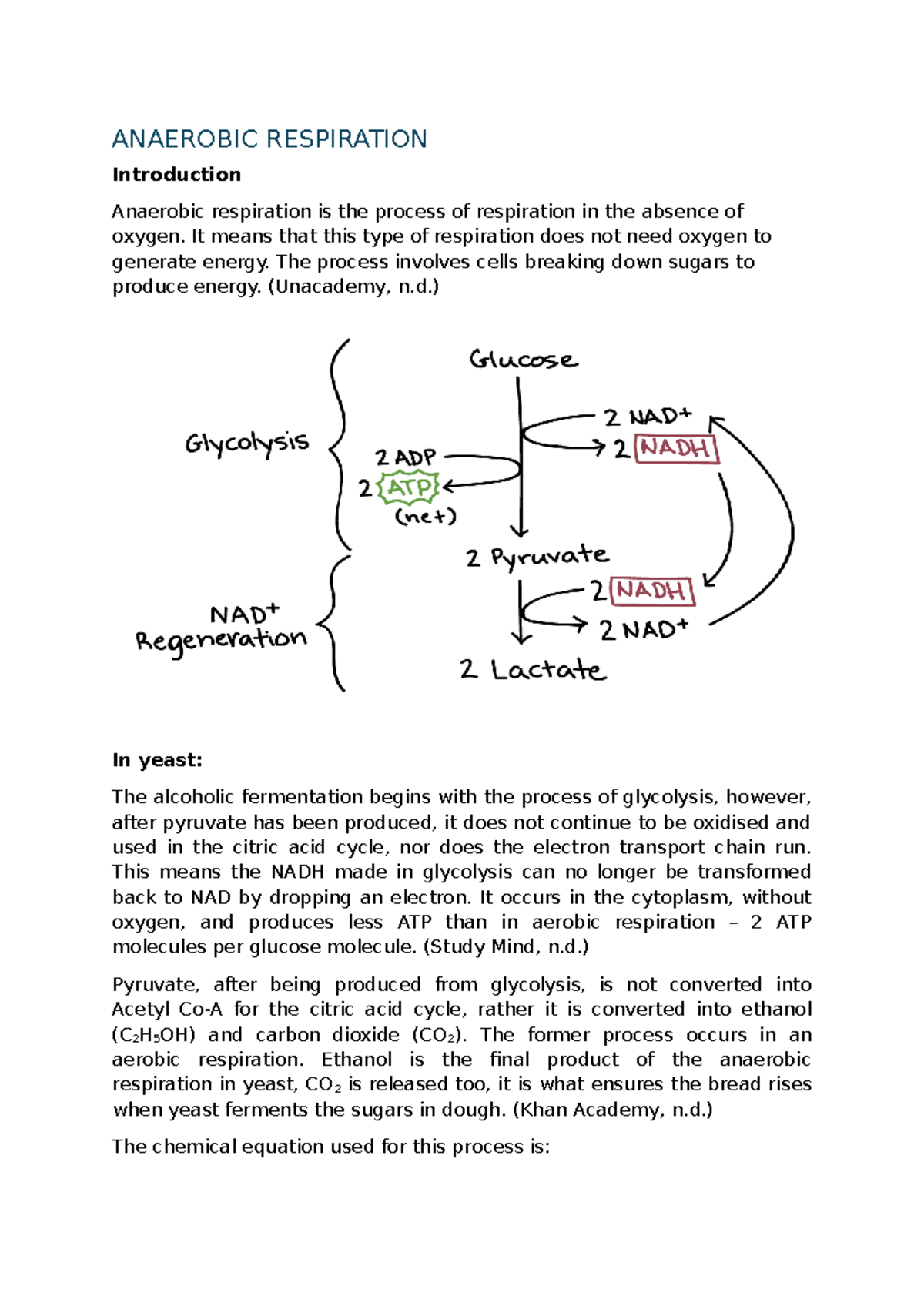 UNIT 10B: Anaerobic Respiration and Activity Effects Lab Report - Studocu