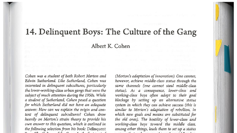 Final Exam Review Notes for Course CODE 101: Delinquent Boys and Gang ...