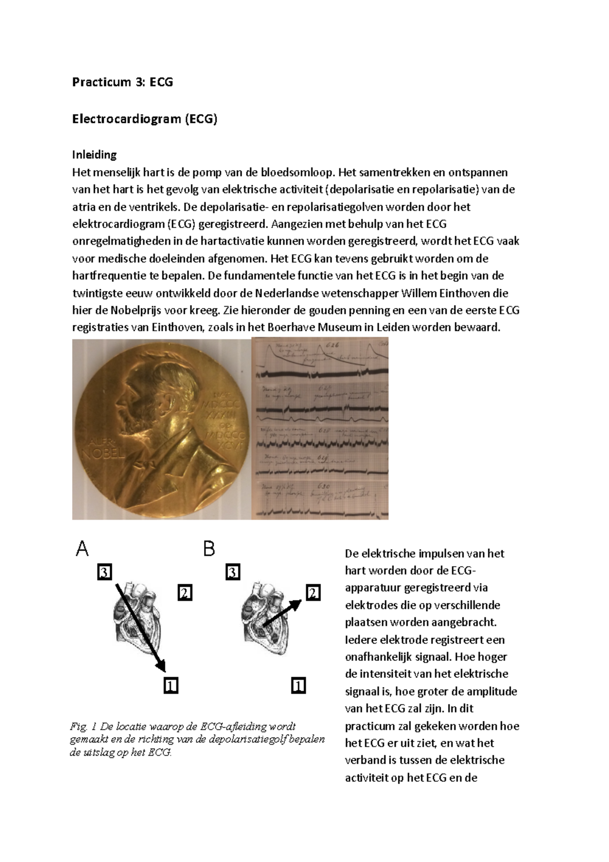 Handleiding Practicum 3: ECG Registratie en Interpretatie - Studeersnel