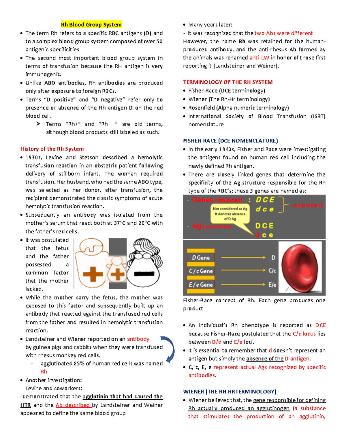 6B- Rh Blood Group System and other major blood group - Rh Blood Group ...