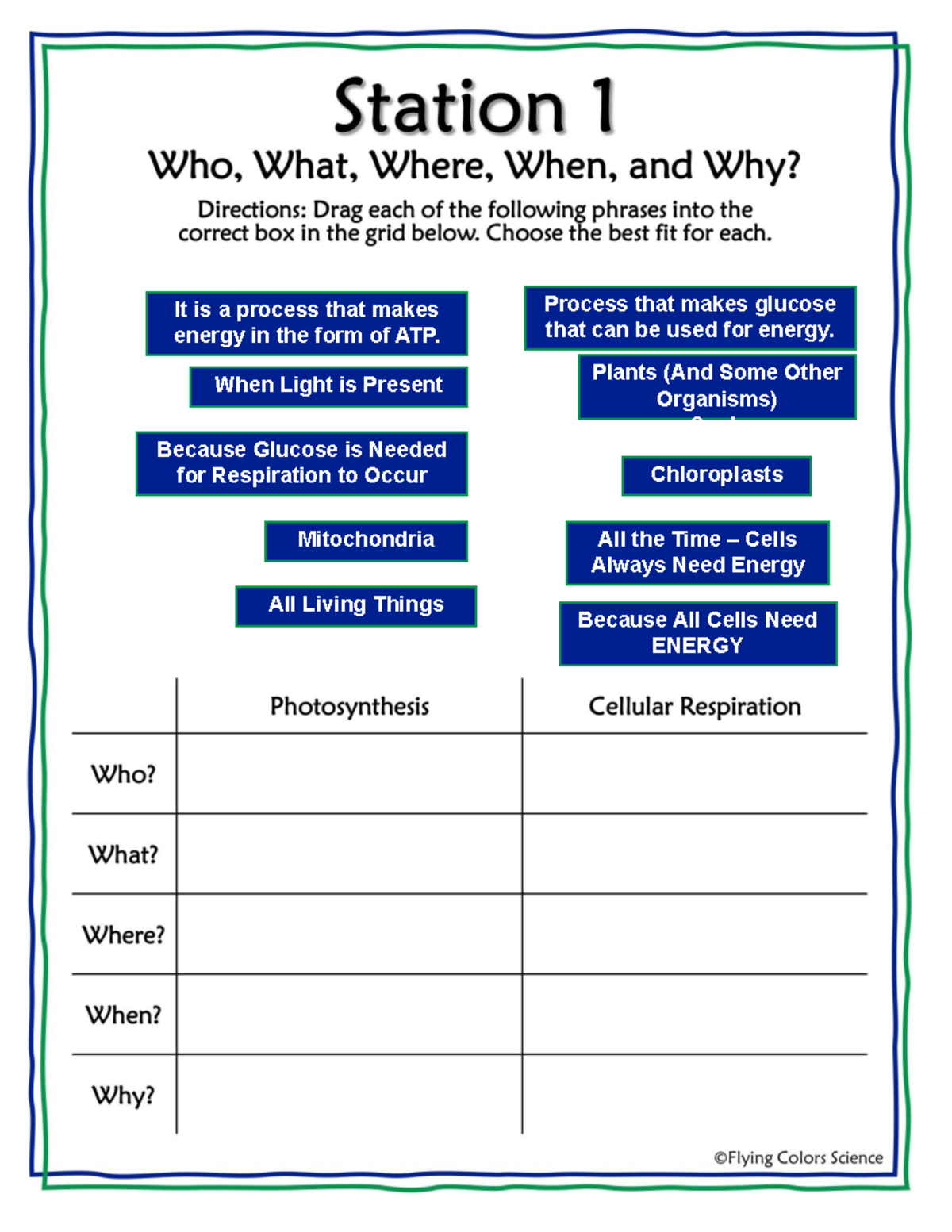 BIOL 101: Photosynthesis & Respiration Overview and Key Concepts - Studocu