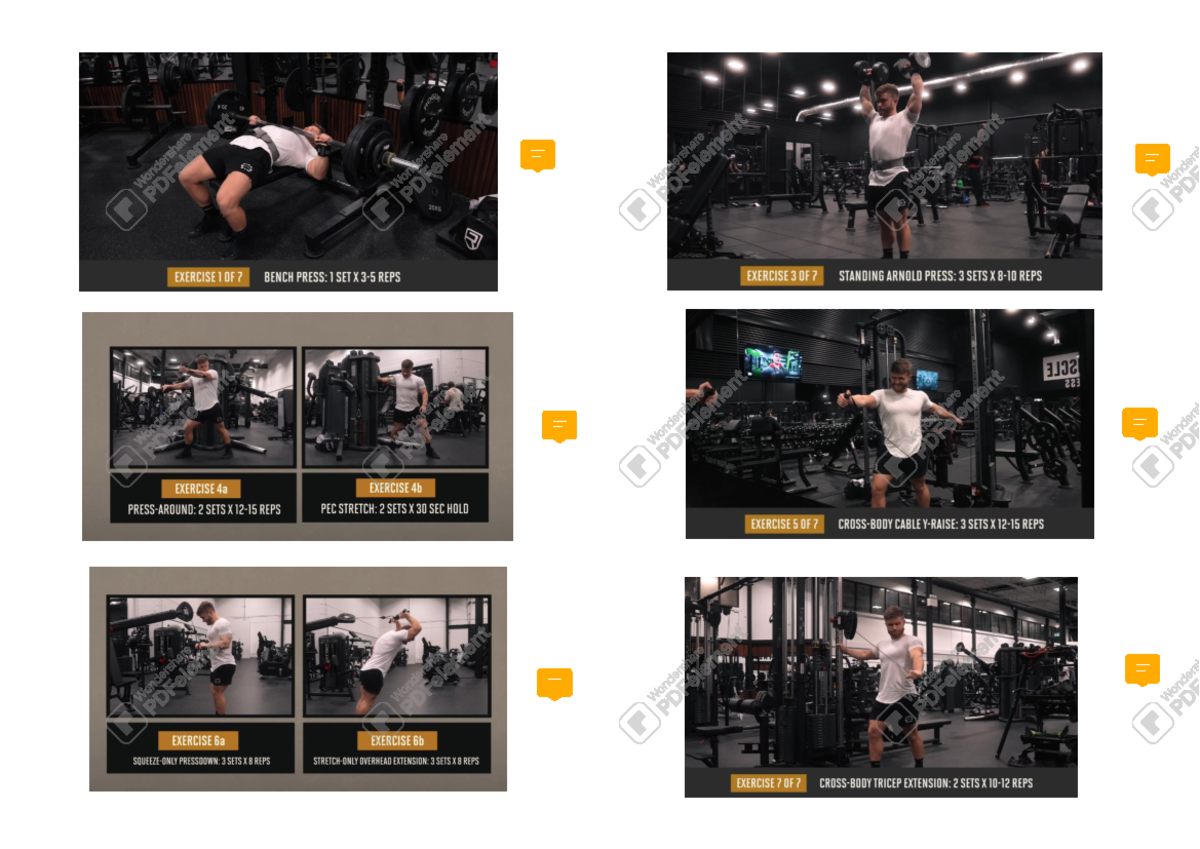 PPL Workout Plan: 7 Upper & 6 Lower Body Exercises with Sets/Reps - Studocu