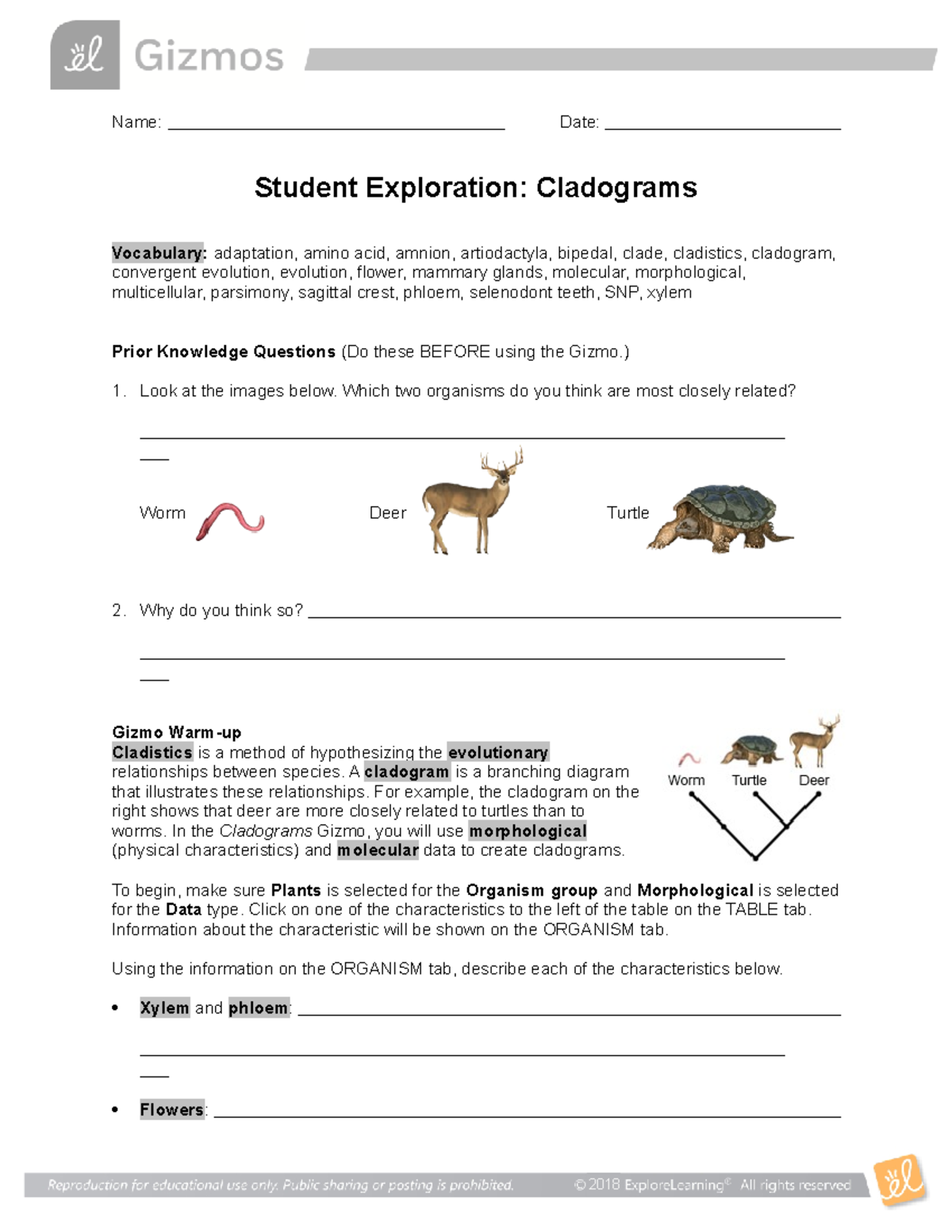 Cladograms SE - Name: Date: Student Exploration: Cladograms Vocabulary ...