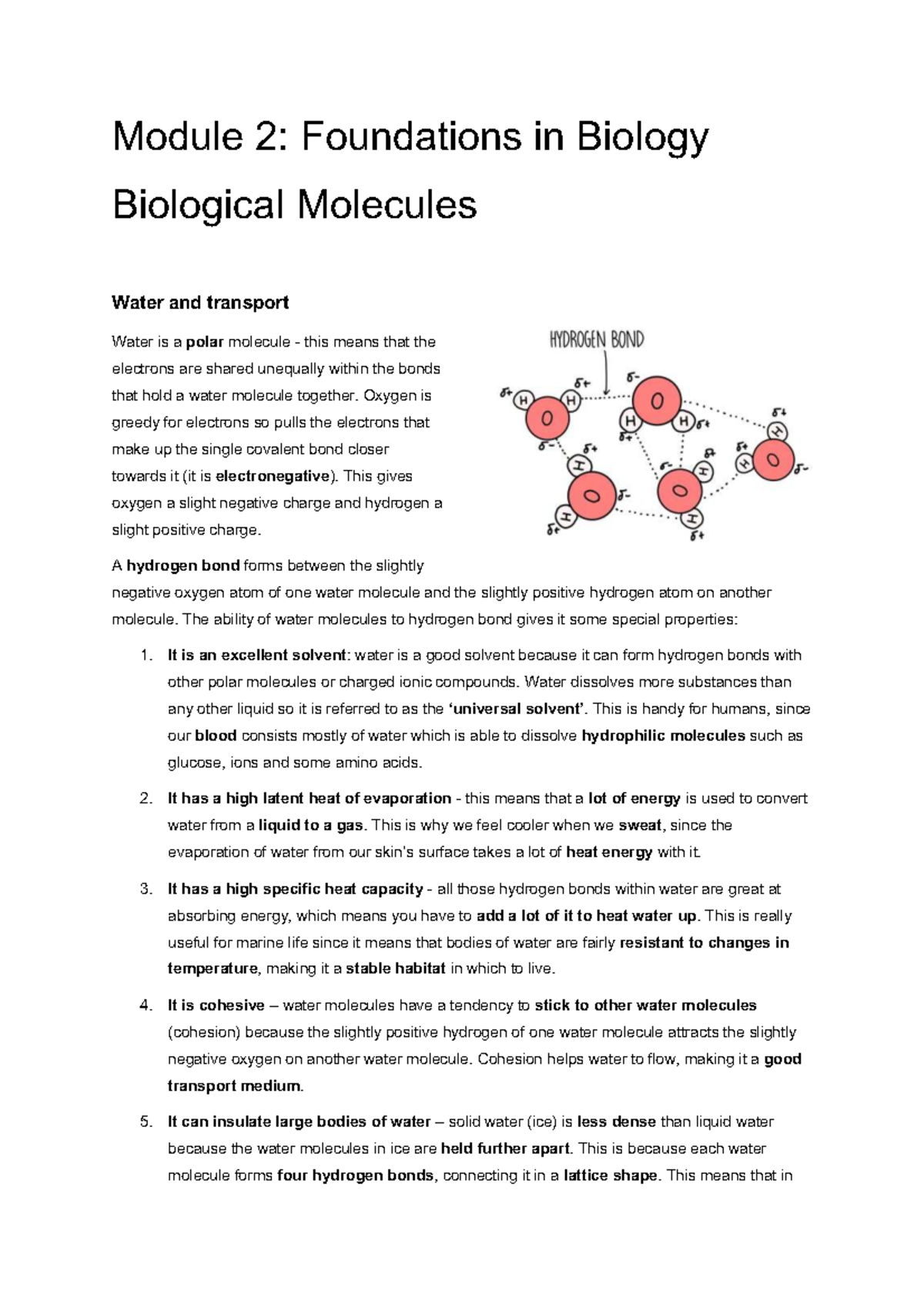 Module 2: Biological Molecules - Water, Carbs, Lipids & Proteins - Studocu