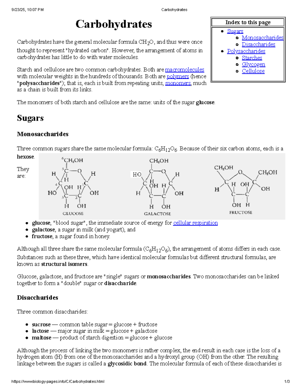 Carbohydrates: Structure, Types, and Functions Overview (BIO 101) - Studocu
