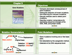 [Solved] If you observe no bands in your PCR reaction product which of ...