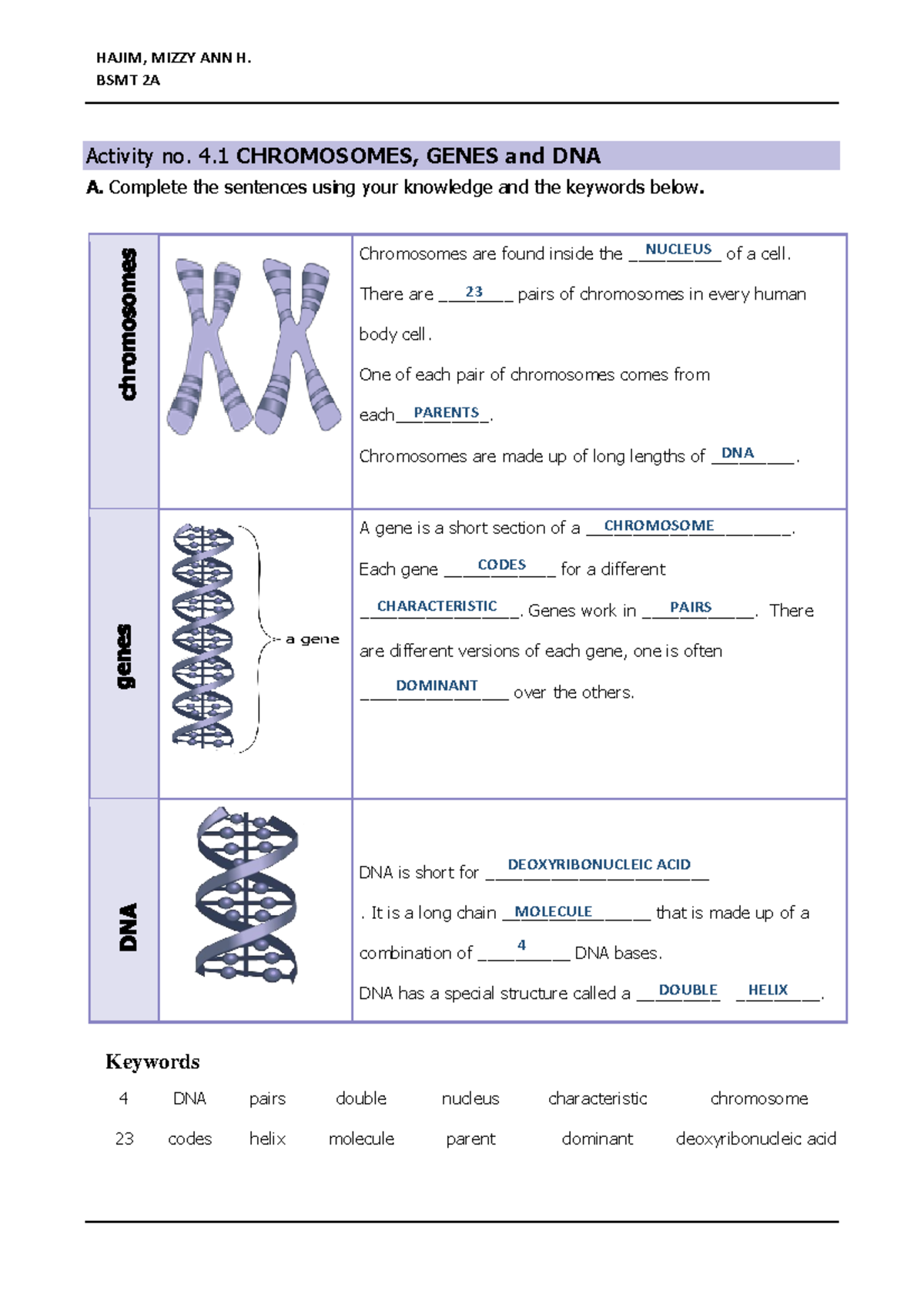 Activity No. 4.1: Understanding Chromosomes, Genes, and DNA Concepts ...