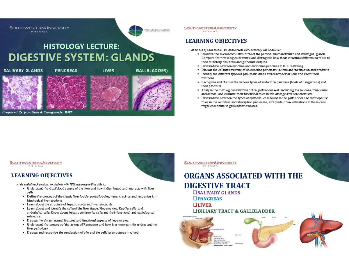 HISTOLOGY LECTURE: DIGESTIVE SYSTEM GLANDS (HIST 101) LEARNING ...