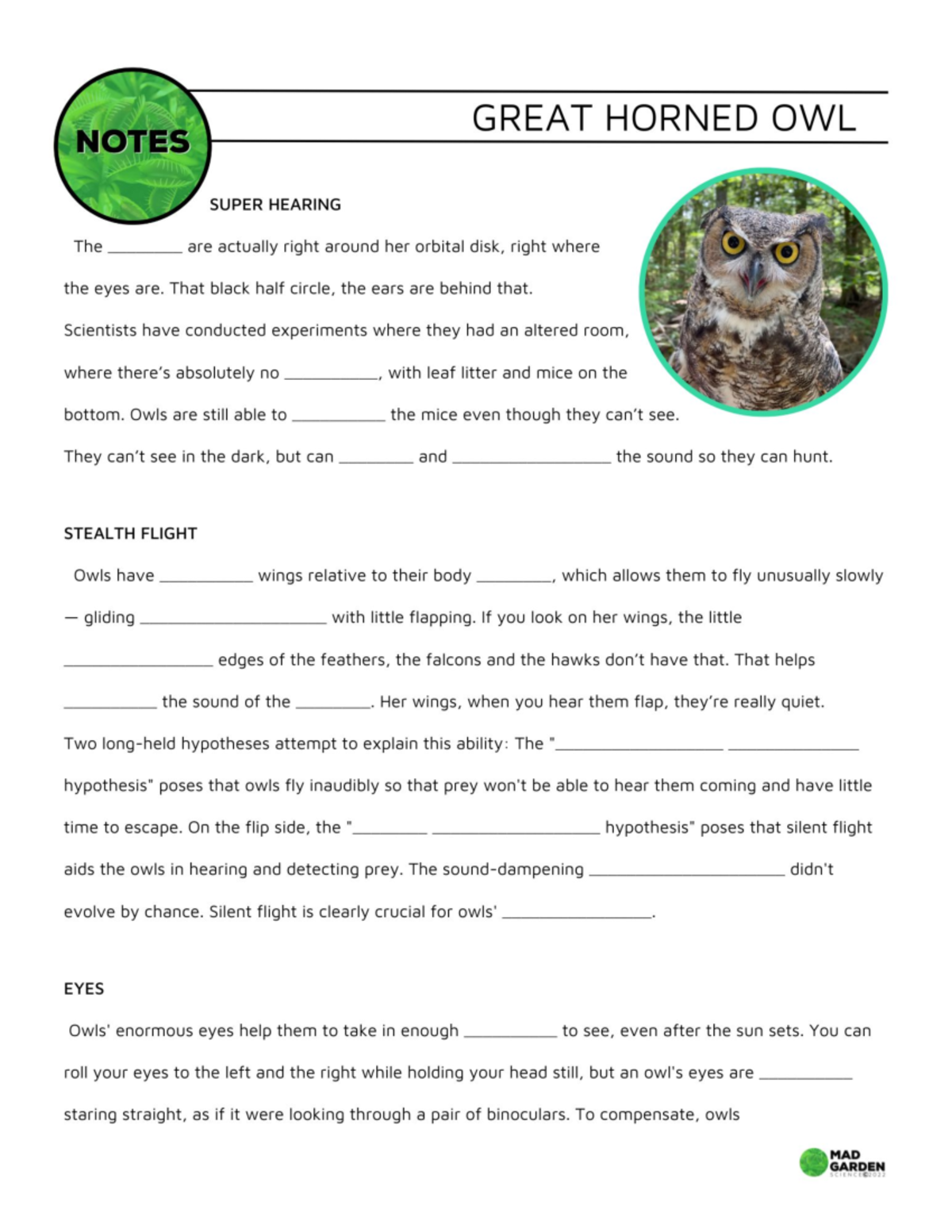 Freegreat Horned Owl Adaptations Food Chain Guided Notes Print Digital ...