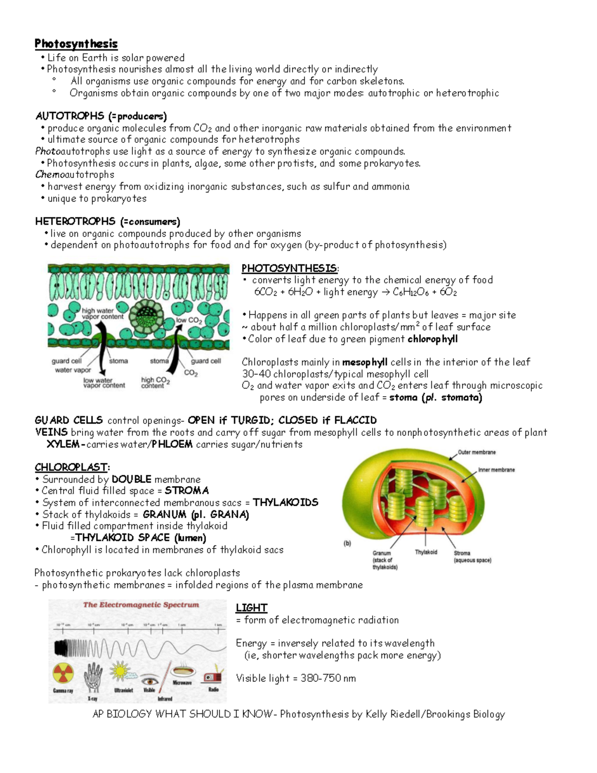 Photosynthesis Notes AP Biology - Photosynthesis Life on Earth is solar ...