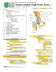 Human Anatomy and Physiology with Pathophysiology - HAPP 111 - OLFU ...