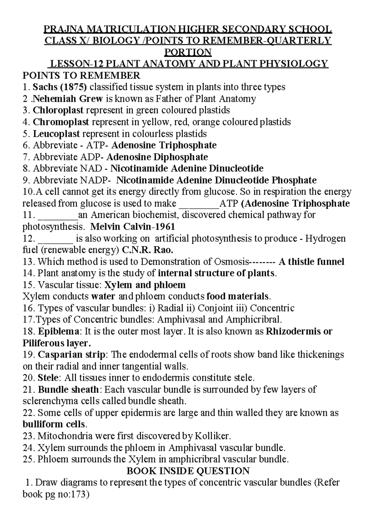 Class X Biology: Key Points on Plant Anatomy & Physiology - Studocu