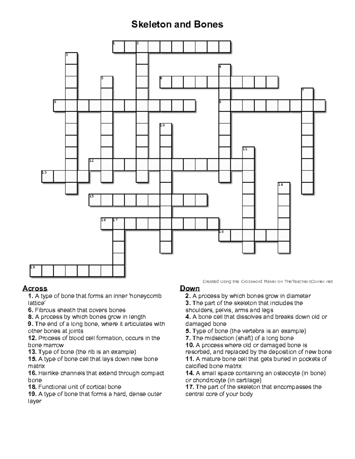 Crossword Puzzle: Skeleton and Bones Study Guide - Studocu