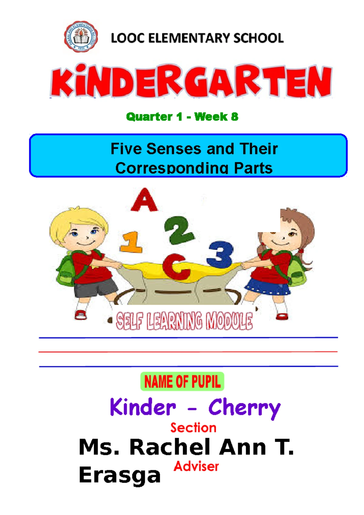 Annex A: PhilHealth Konsulta Registration Form (PKRF) 2024 Guidelines ...