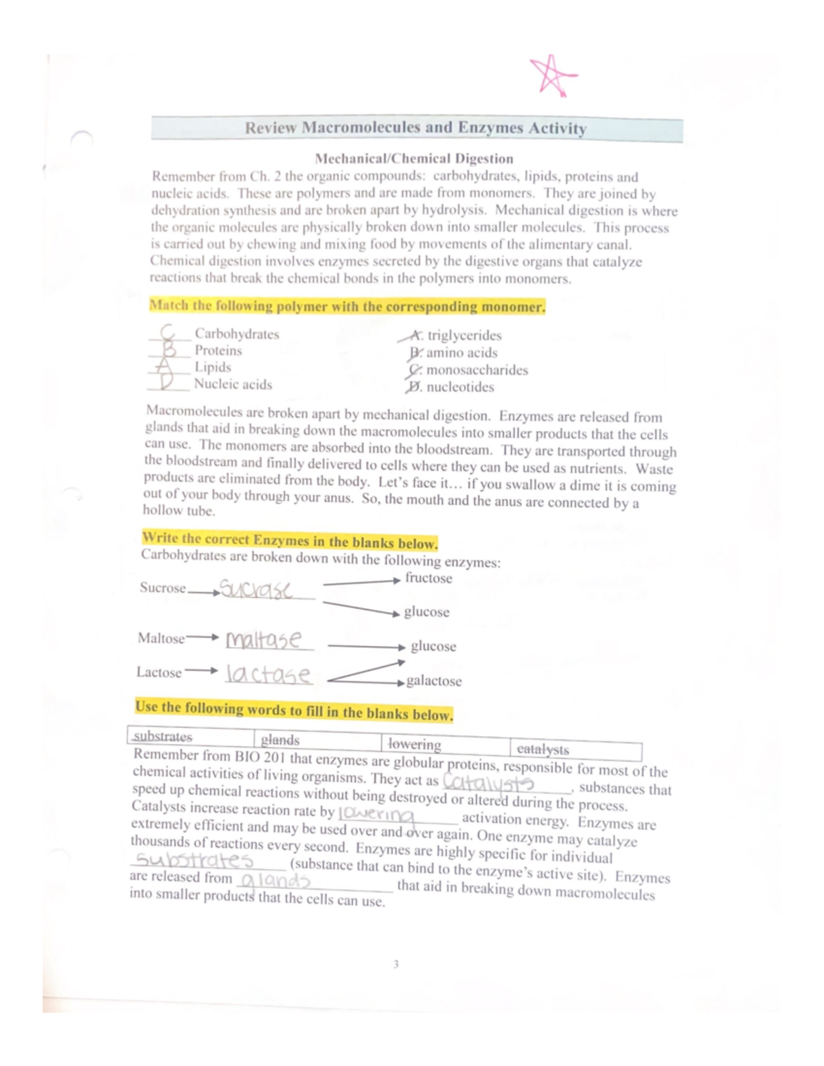 Review of Macromolecules & Enzymes Activity Notes - Studocu