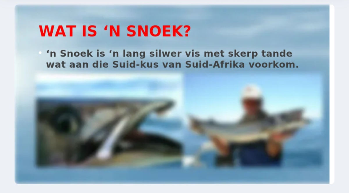 Die Snoek: Einde van Jaar Eksamen Notas - Studocu