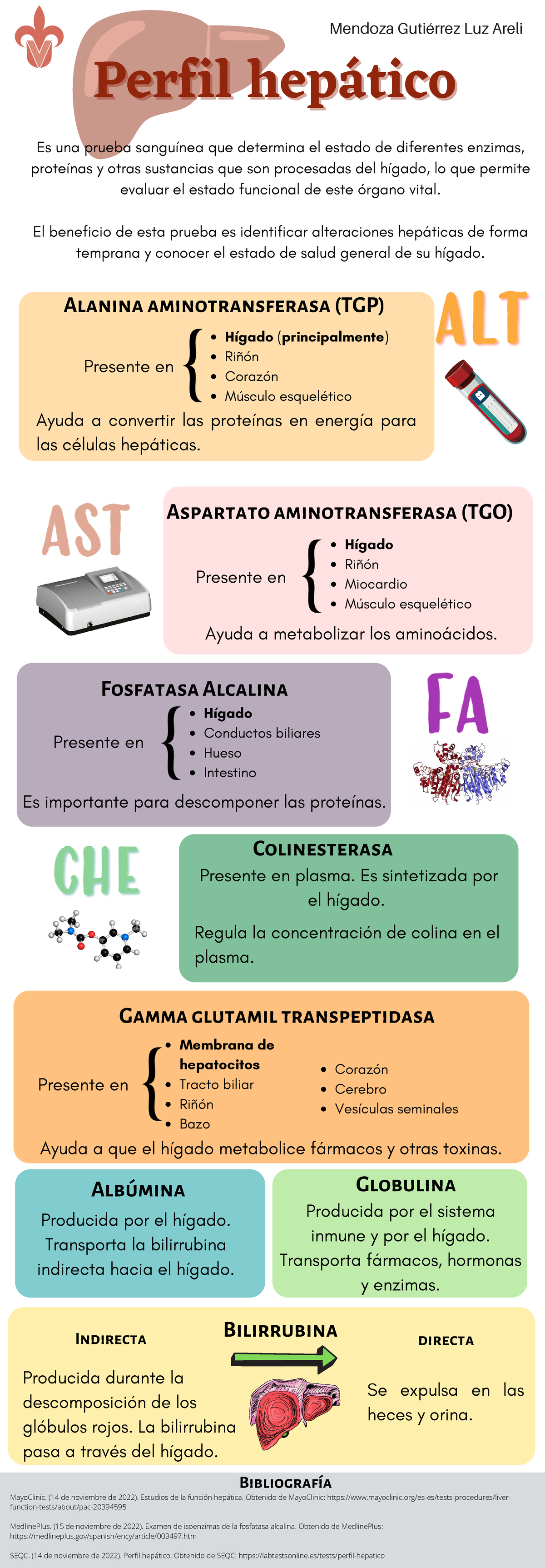 Perfil Hepático: Infografía de Enzimas y Funciones del Hígado - Studocu