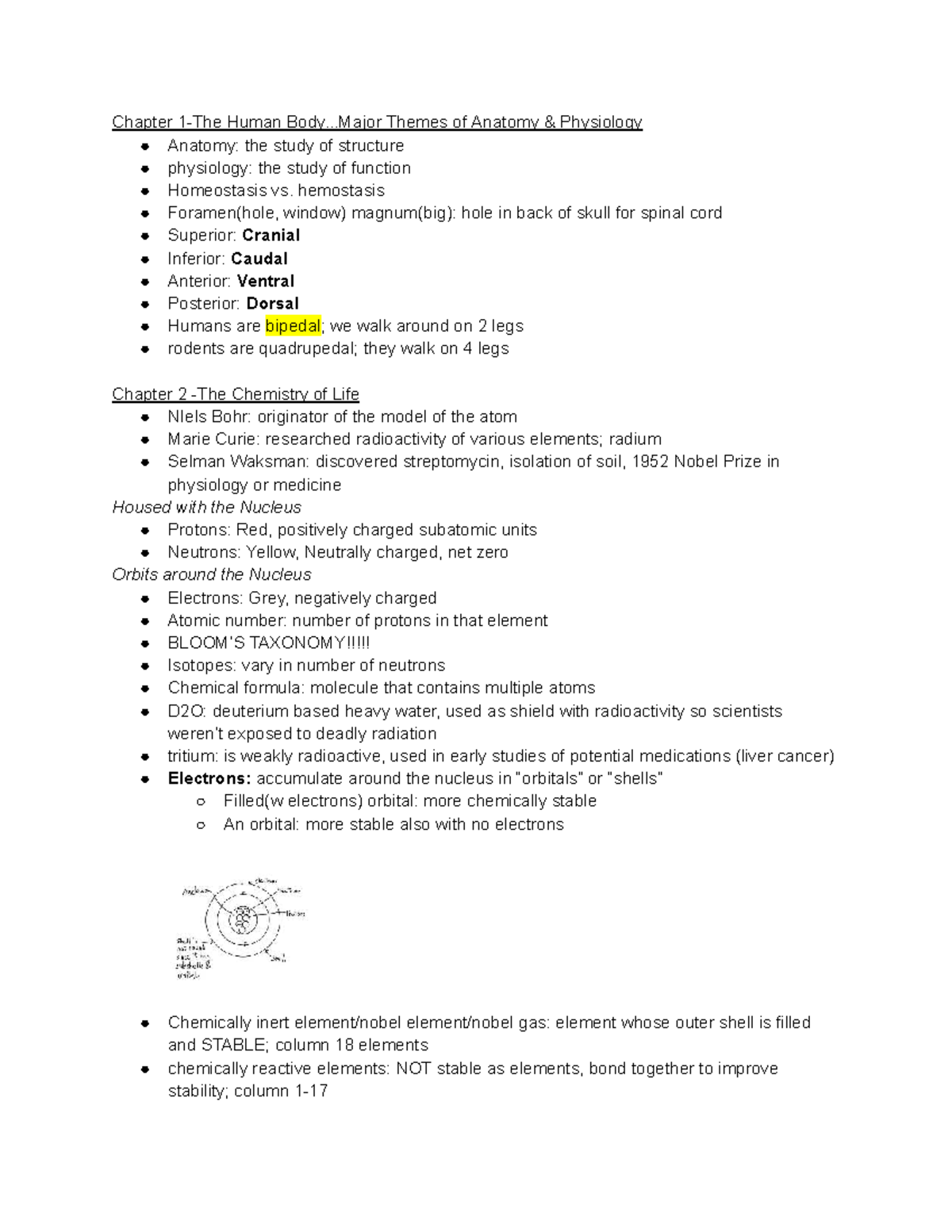 Exam 1 Study Guide: A&P Bio 232 - Human Body & Chemistry of Life - Studocu