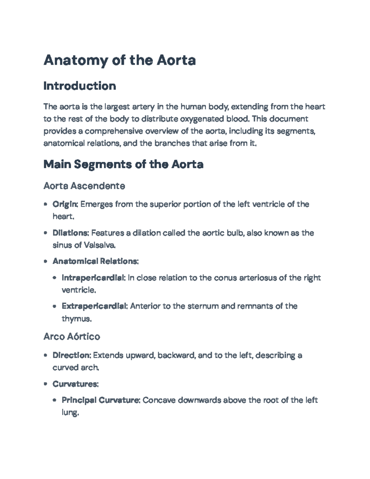 Anatomy of the Aorta: In-Depth Overview for Medical Studies - Studocu
