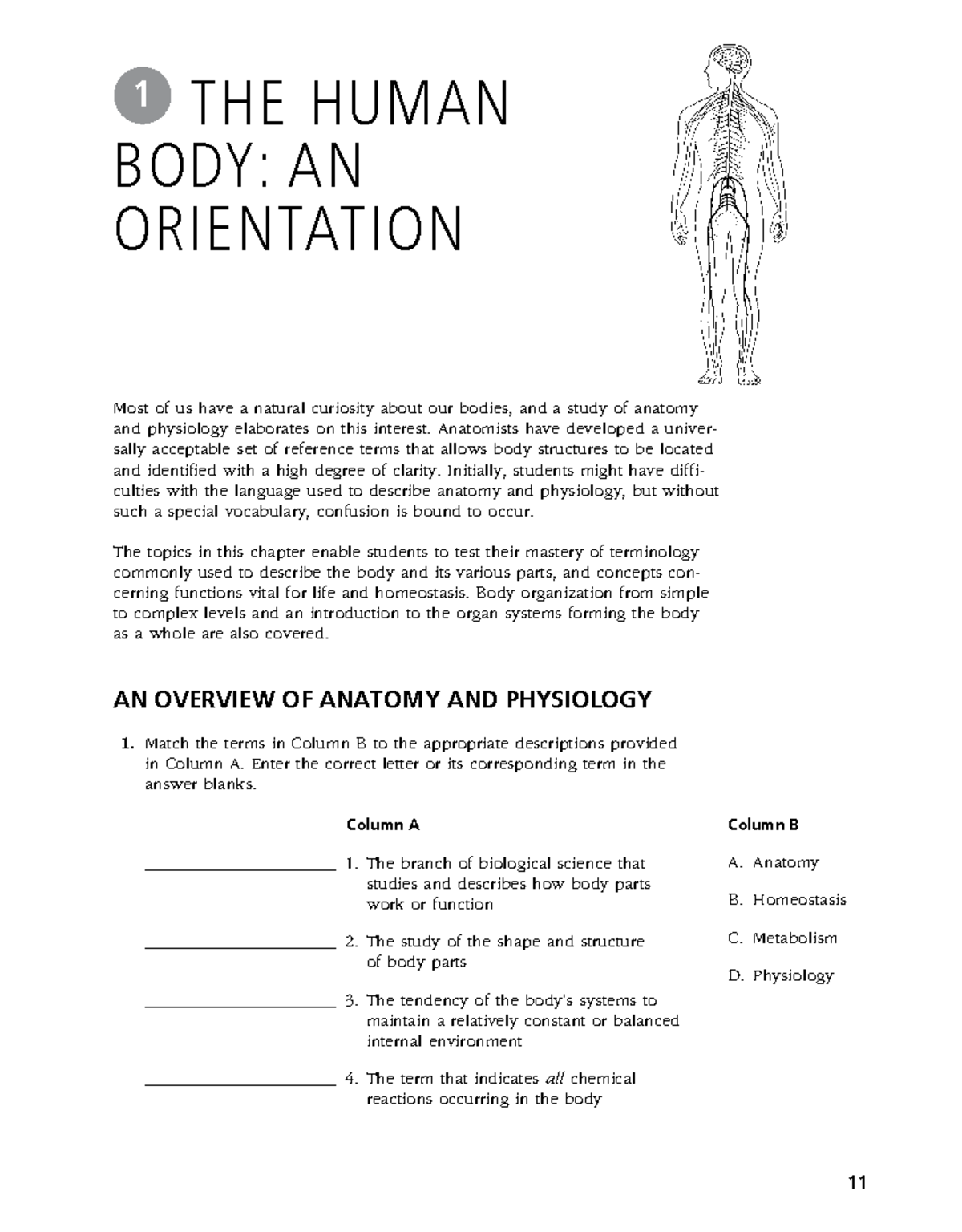 Human Body: An Orientation - Anatomy & Physiology Overview - Studocu