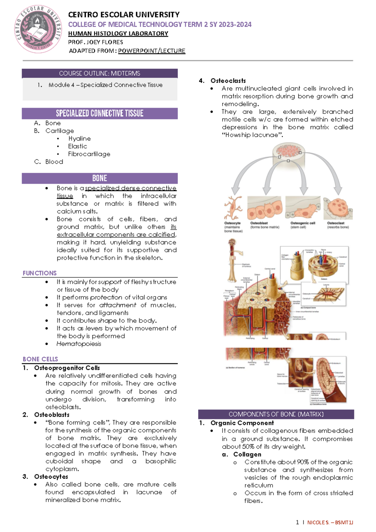 Histology Laboratory Module 4: Specialized Connective Tissue - COLLEGE ...