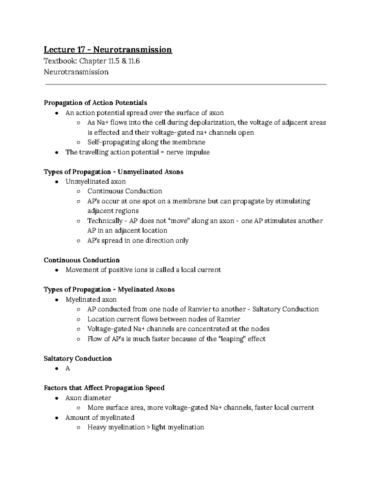 Lecture 17 & 18: Neurotransmission & Spinal Cord Notes for Exam - Studocu