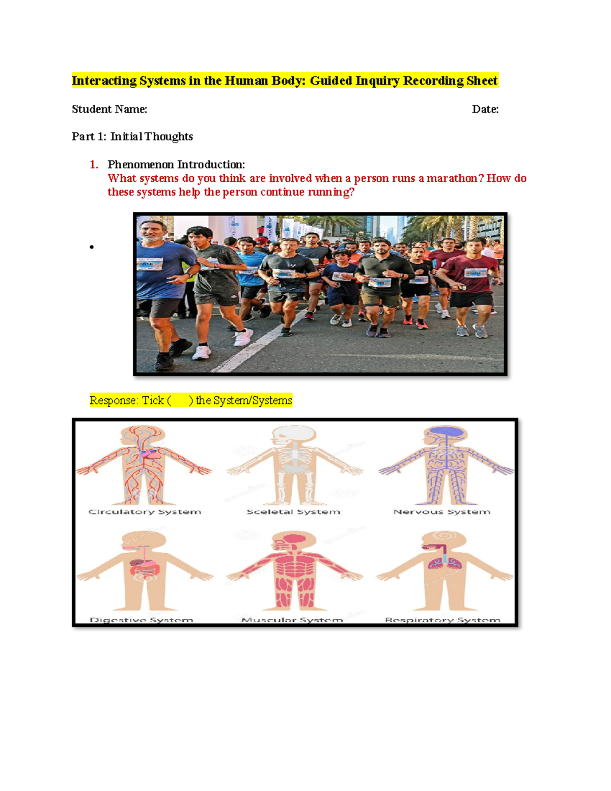 Guided Inquiry -Organ Systems - Interacting Systems in the Human Body ...