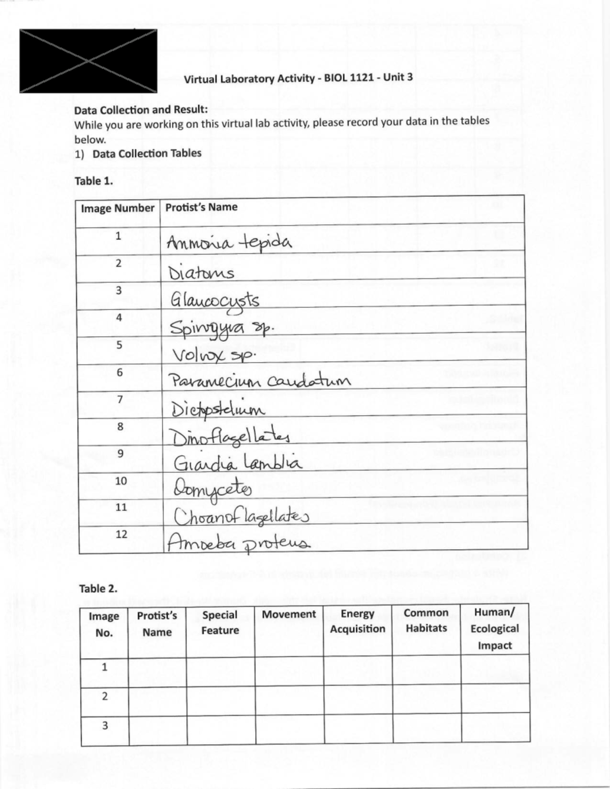 Unit 3 Virtual Lab Activity Data Collection - BIOL 1121 - Studocu