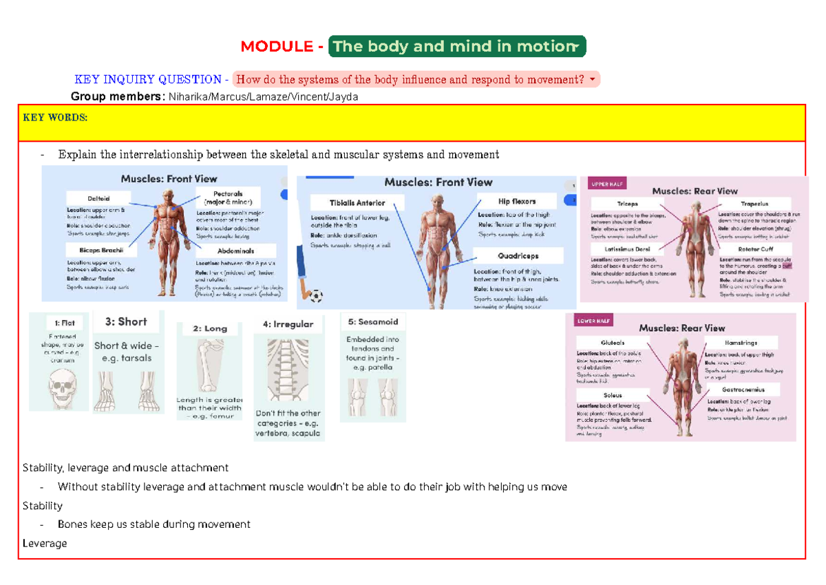 HMS Notes 2 - Focus Area 2: Body Systems & Movement Interrelationships ...